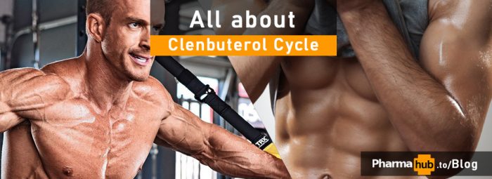 Everything you need to know about Clenbuterol Cycle | PharmaHub.to