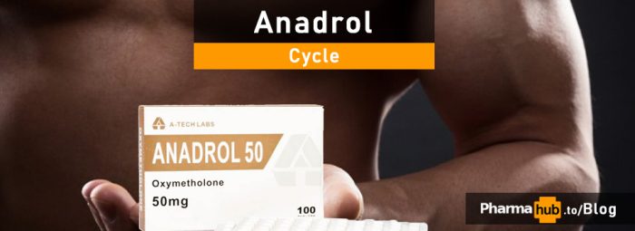 A Comprehensive Guide on Anadrol Cycle | PharmaHub.to