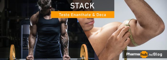 The Ultimate Guide to Running a Clenbuterol Cycle | PharmaHub.to